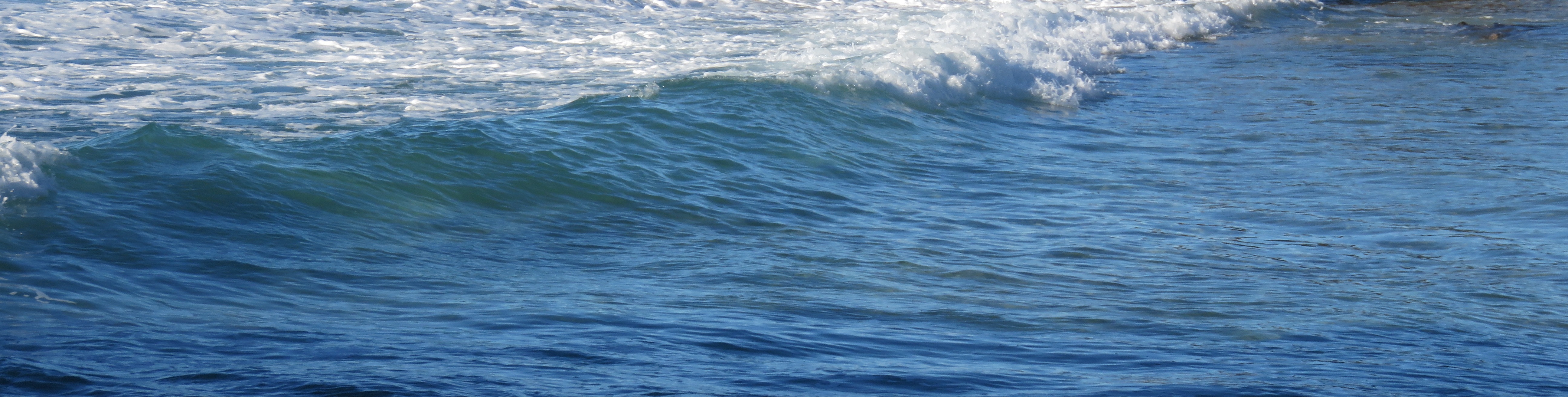 Number Eight Wire: New Zealand Haiku – Gregory Piko