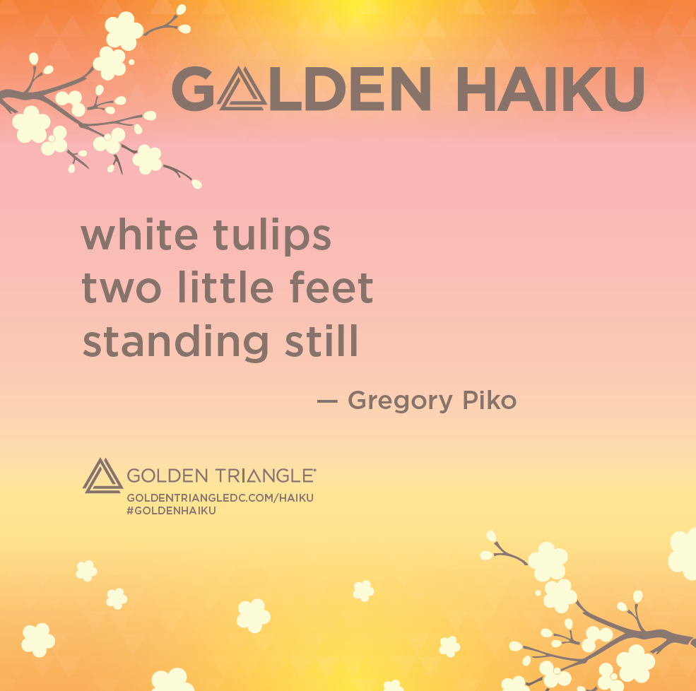Golden Haiku Contest: Washington DC – Gregory Piko